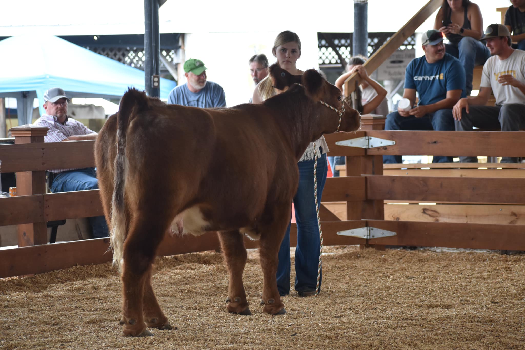 Jefferson County Fair Association – Showcasing the best in Jefferson ...