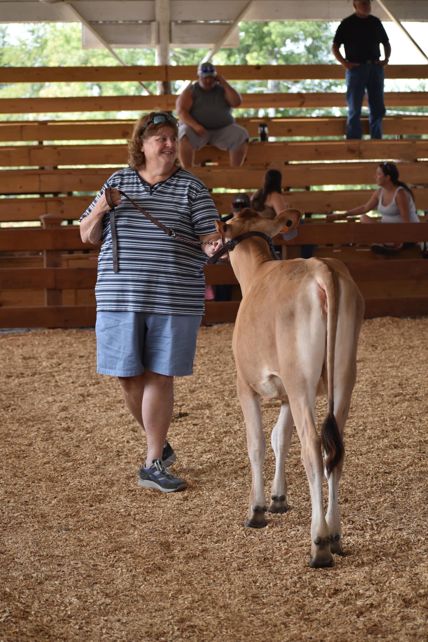 Jefferson County Fair Association – Showcasing the best in Jefferson ...
