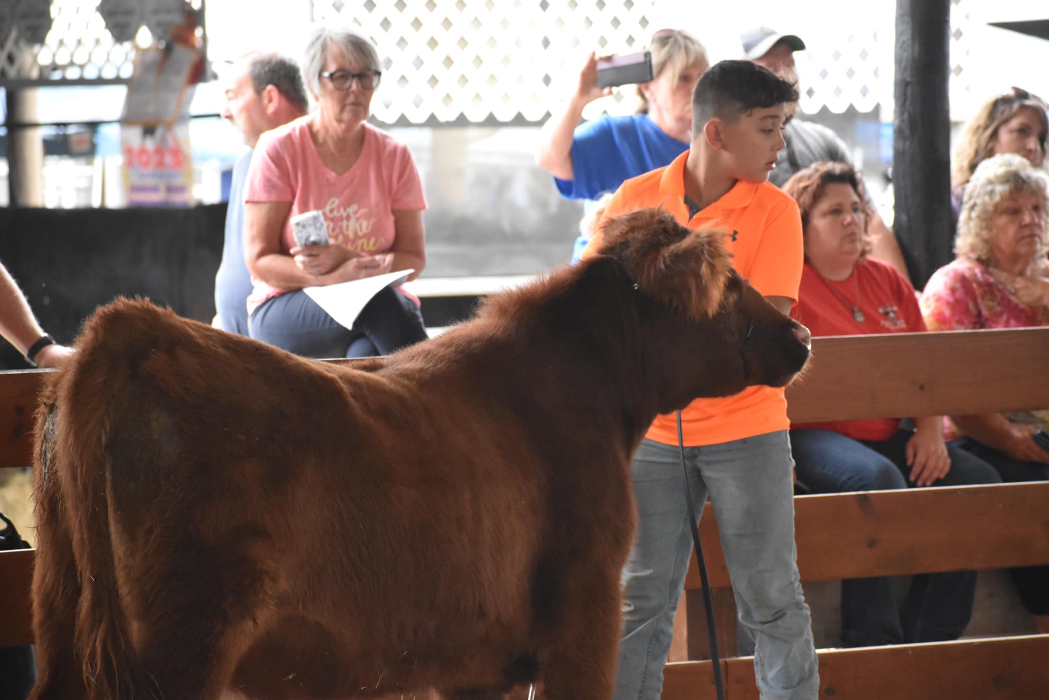 Jefferson County Fair Association – Showcasing the best in Jefferson ...