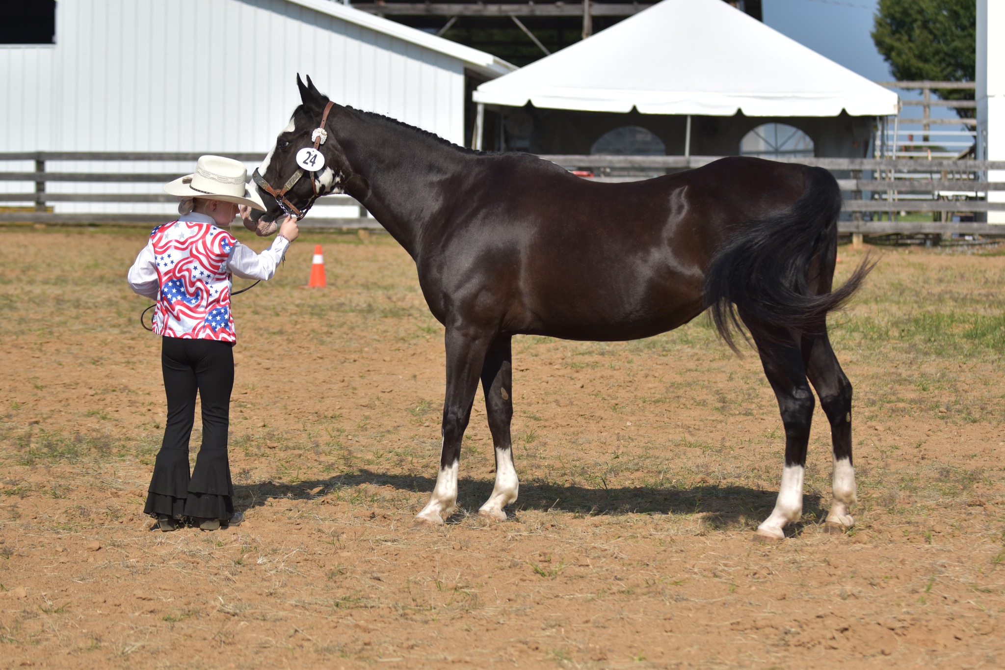 Jefferson County Fair Association – Showcasing the best in Jefferson ...