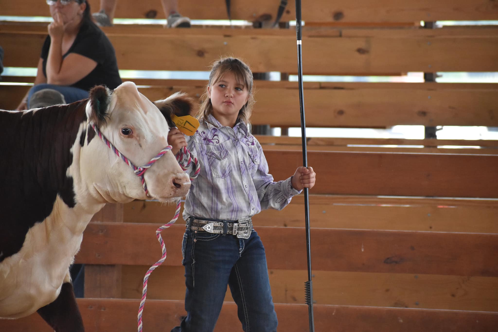 Jefferson County Fair Association – Showcasing the best in Jefferson ...