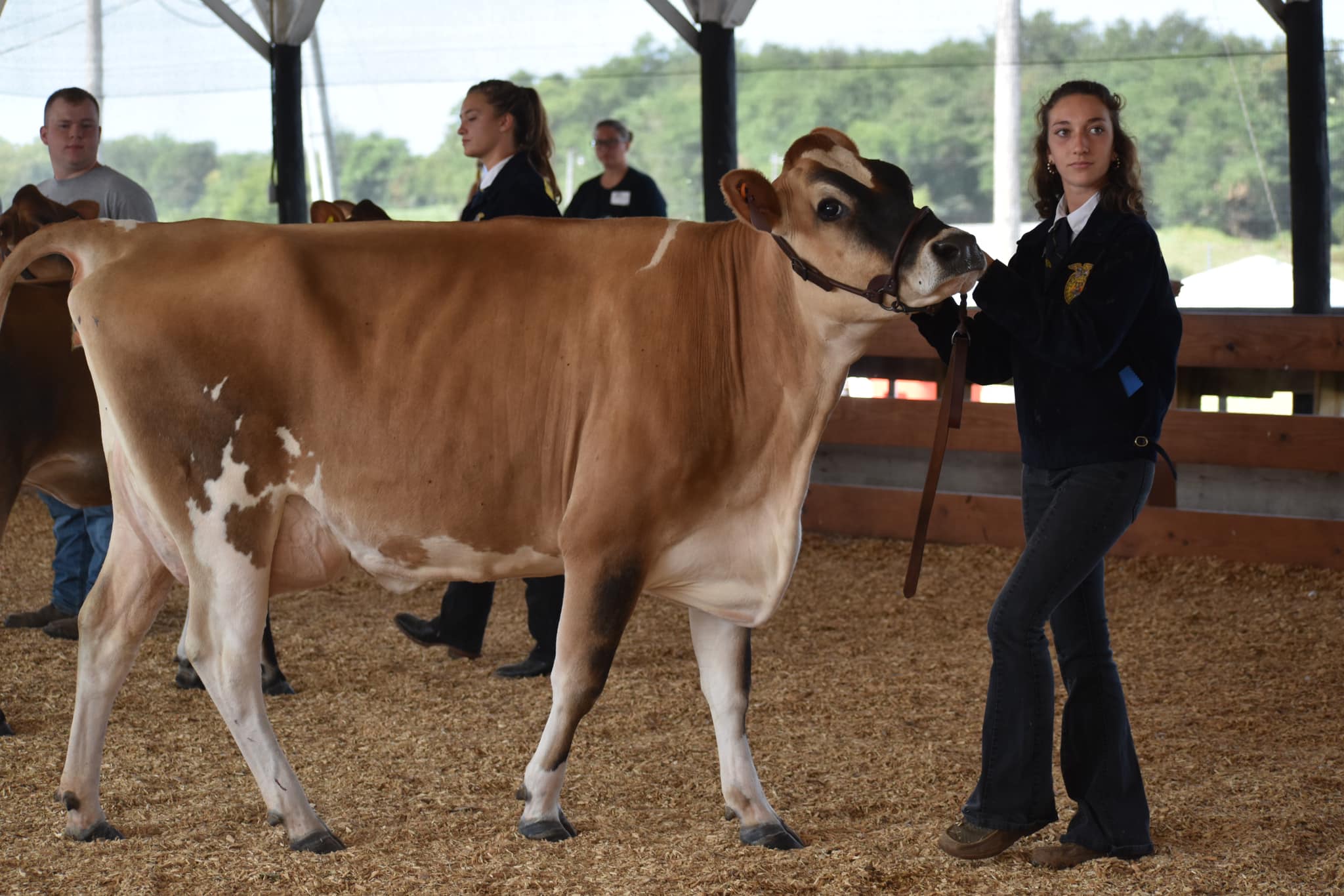 Jefferson County Fair Association – Showcasing the best in Jefferson ...