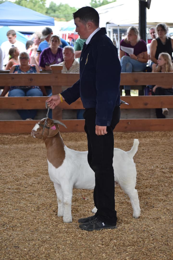 Jefferson County Fair Association – Showcasing the best in Jefferson ...